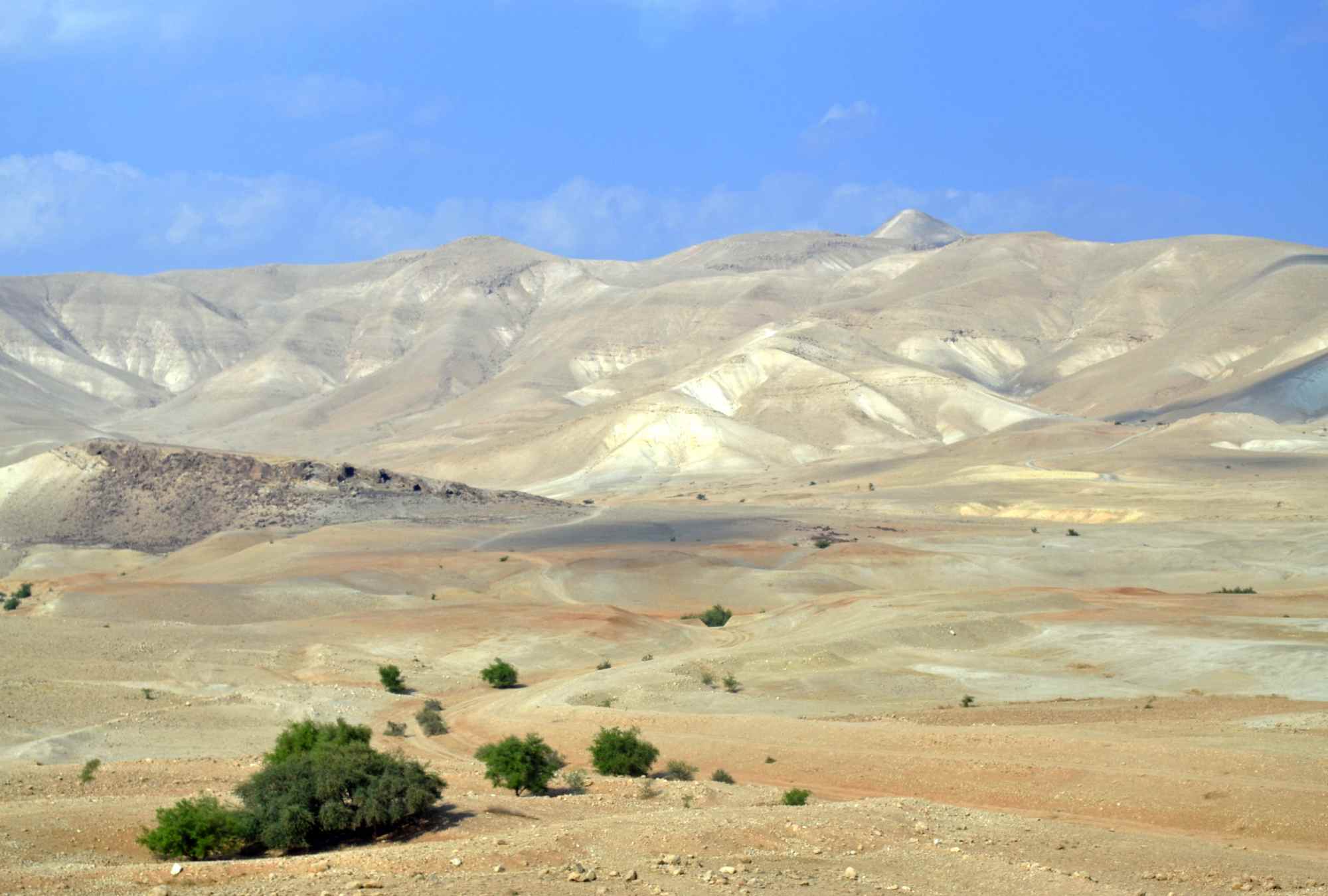 Judean Wilderness - Net Travels